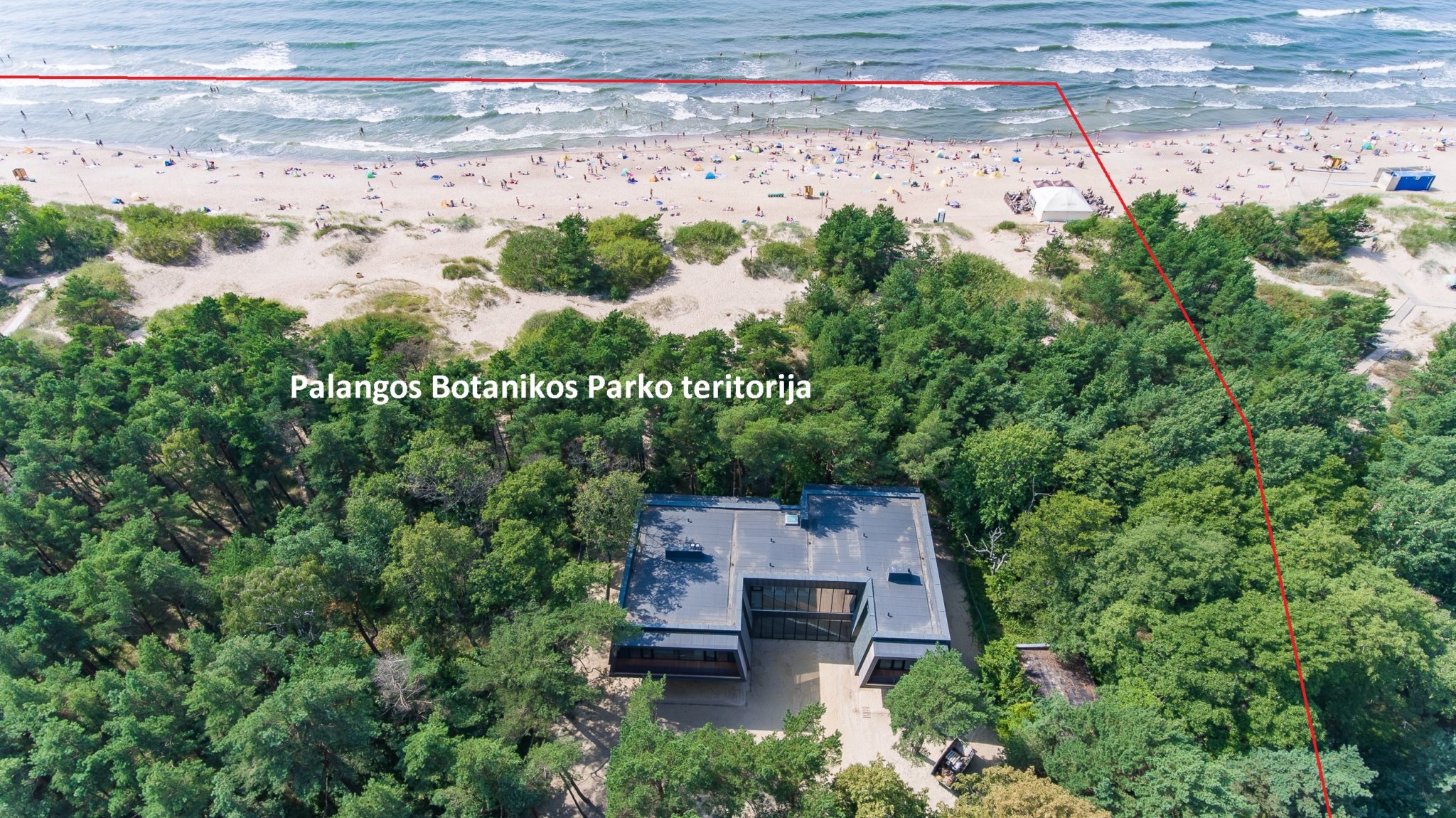 STEBUKLAS MEILĖS ALĖJOJE | NNTV asociacija